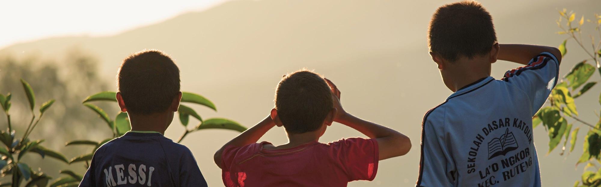 Terms and Conditions | ACN International